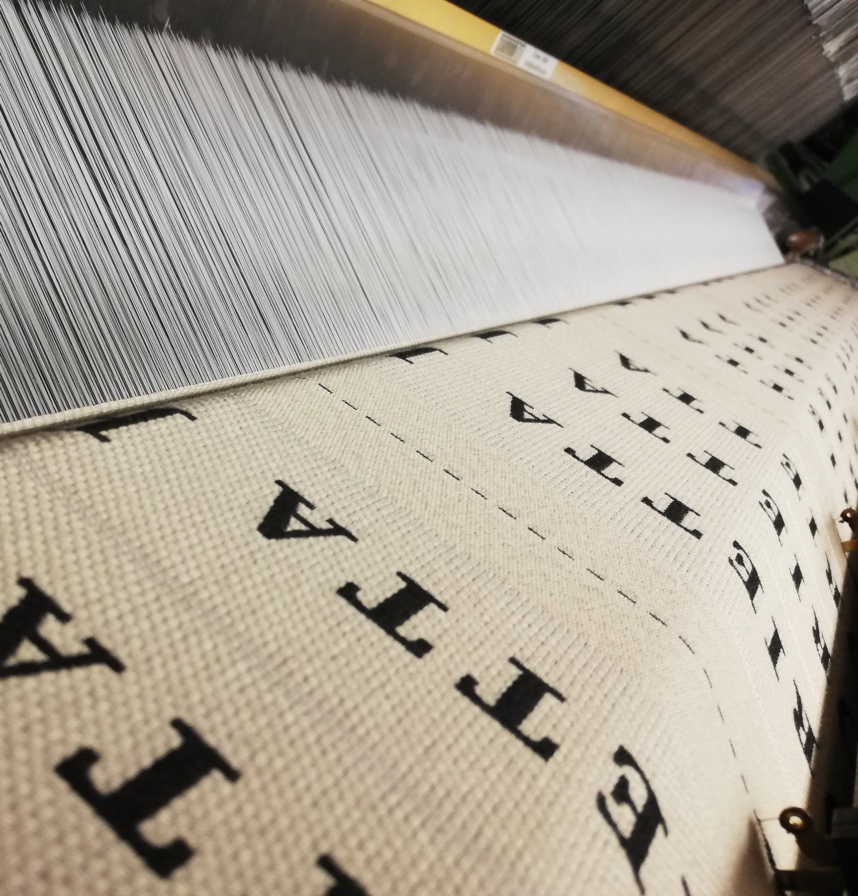 Timeless Fashion Accessories-Orietta Polo Collections